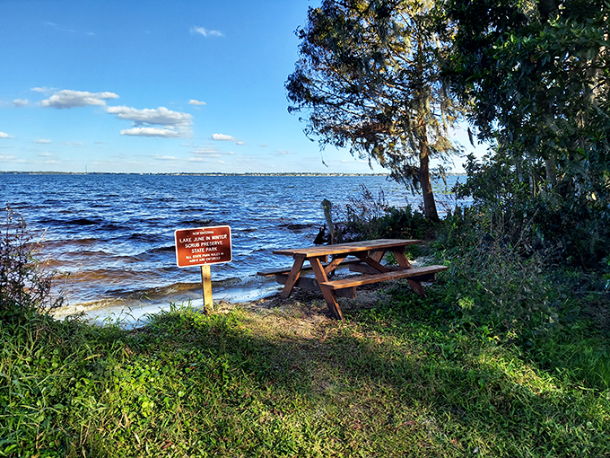 Nature provides the perfect picnic spot at Lake June, where crystal waters meet shoreline shade &ndash; Florida's natural beauty without the crowds.
