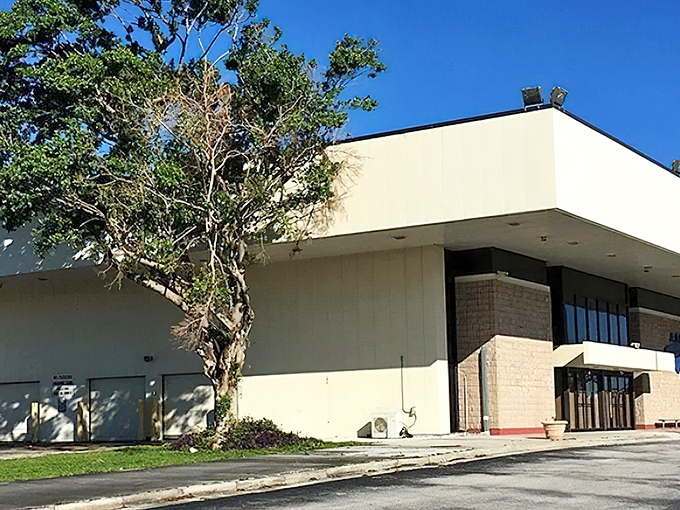 Miami Amtrak Station quarter prove you don't need to sacrifice rest for the romance of rail travel.