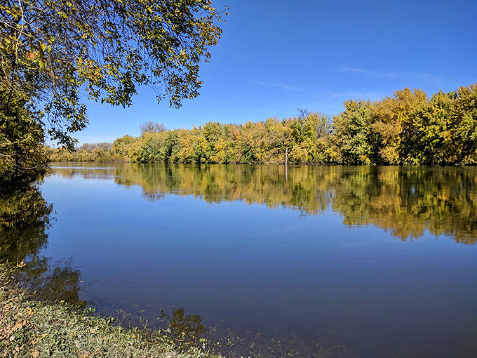 The Minnesota River flows with quiet dignity, its reflective surface doubling the beauty of autumn foliage along its banks.