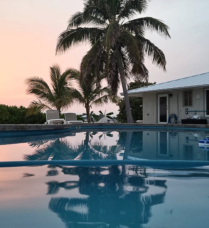 This pool reflects palm trees and promises &ndash; mainly that you'll never want to leave this slice of paradise.