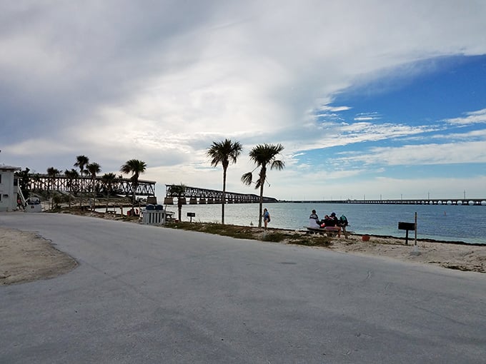 Scenic paradise: The marina provides a perfect spot to take in breathtaking views of waters alive with vibrant marine life.