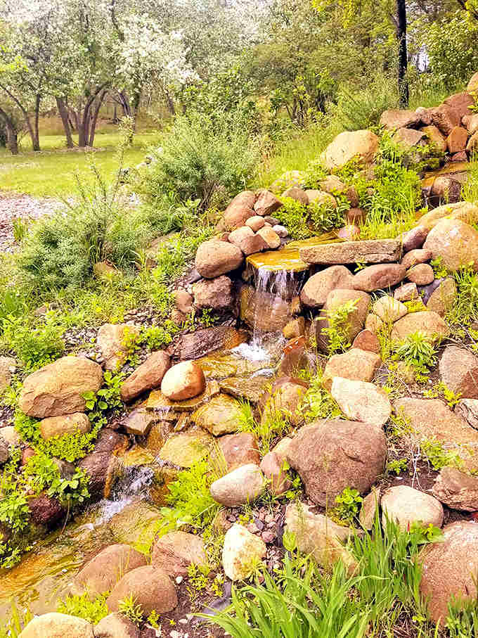 Water tumbles playfully over carefully arranged stones, creating nature's own symphony that drowns out thoughts of to-do lists and deadlines.