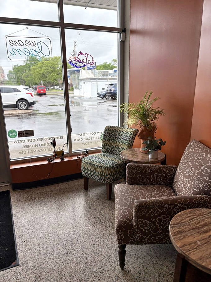 Comfortable seating by large windows creates the perfect spot to sip and observe both the cats inside and the world outside.