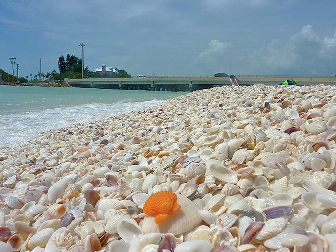 Shell mountain near the bridge – nature's version of a treasure chest spilled open for all to explore.