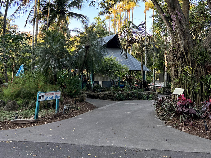 Follow the path to tropical treats! The snack bar nestled among palms offers refreshments that taste twice as good when consumed in paradise.