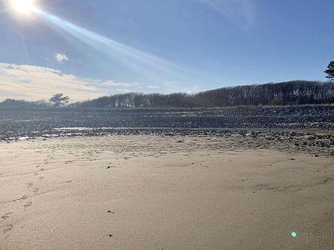 Morning light reveals yesterday's footprints being slowly erased by the tide – nature's daily reset button.