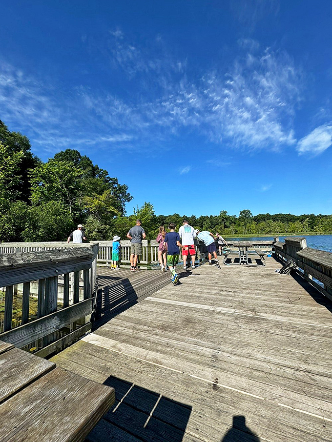 Visitors gather at the observation deck, collectively experiencing that moment when conversation stops and nature's beauty takes center stage.