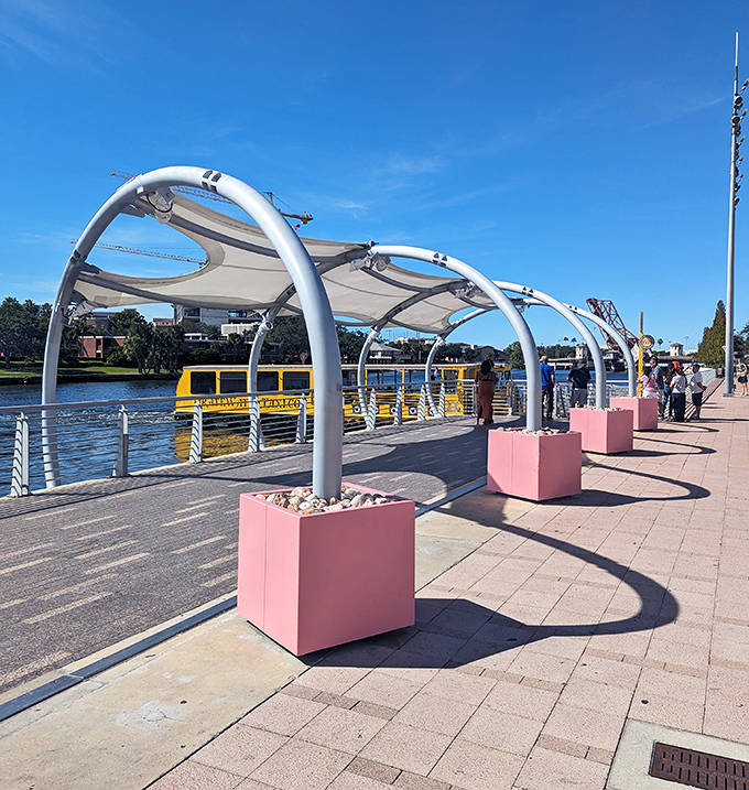 Fabric canopies provide artistic shade along sections of the walkway, their sail-like design nodding to Tampa's maritime heritage.