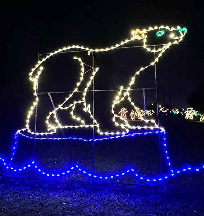 This polar bear looks ready to slide into your heart with a grin that suggests he knows exactly how adorable he is.