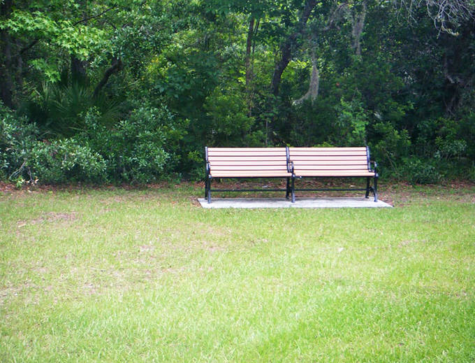 These benches aren't just for sitting – they're front-row seats to nature's greatest show, no tickets required.