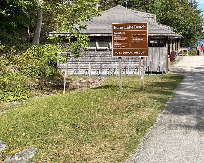 The beach access road winds through the forest, building anticipation for the refreshing swim that awaits.