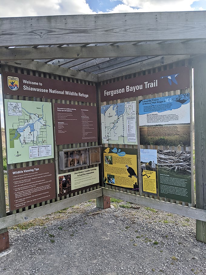 Knowledge center alert! This informational board transforms casual visitors into temporary wildlife experts with fascinating refuge facts.
