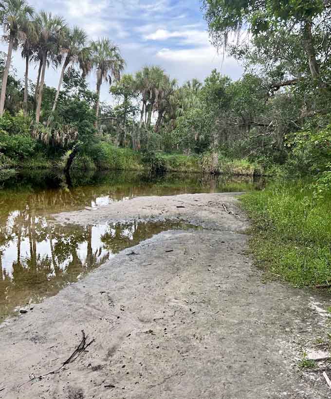 Sandbars emerge along the river's edge, creating natural beaches perfect for rest stops during paddling adventures.