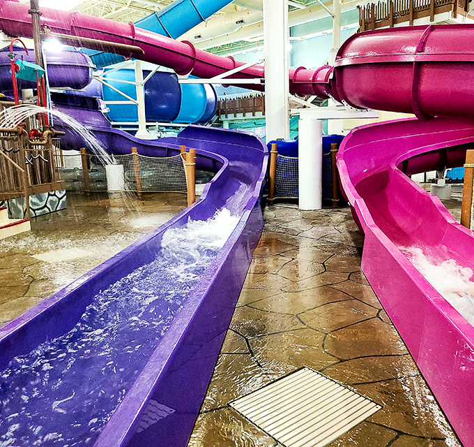 Purple and pink waterslides deliver squealing riders into splash pools below, proving gravity remains the most reliable source of entertainment.