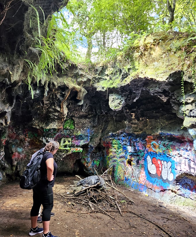Forest crossroads: Sun-dappled clearings offer moments of orientation before plunging back into the verdant maze.