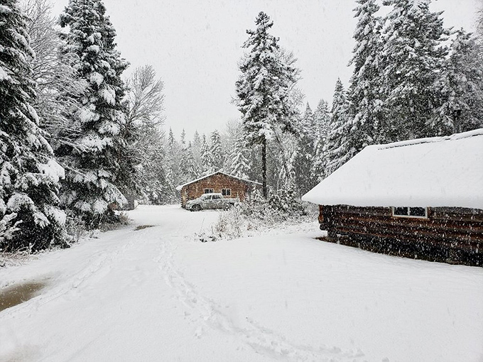 Winter's embrace transforms cabins into snow-capped havens, where wood smoke curls from chimneys and adventure waits just beyond the doorstep.
