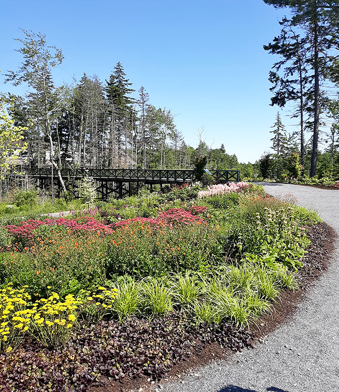 A burst of colorful blooms welcomes visitors at the preserve entrance &ndash; nature's own version of a cheerful Maine greeting.