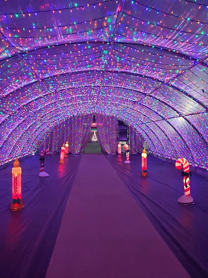 Walking through this light tunnel feels like stepping inside a Christmas ornament, surrounded by twinkling colors that dance overhead in mesmerizing patterns.