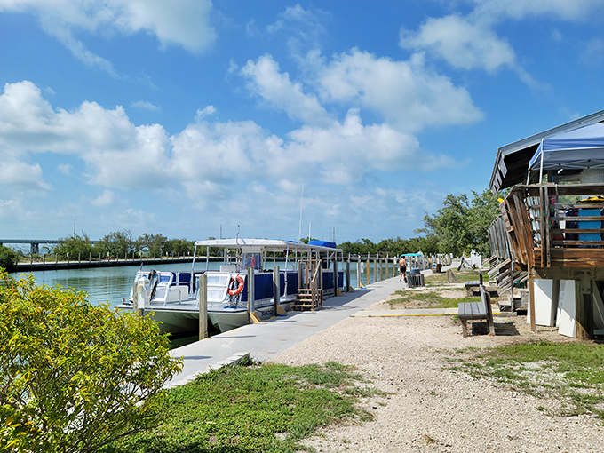 Dock of dreams: Launch your kayak into waters so clear you'll wonder if you're still on planet Earth.