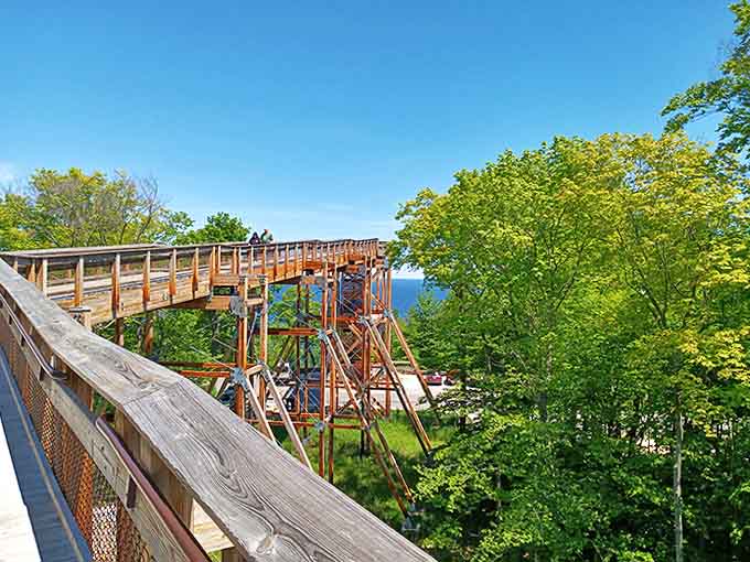 The timber construction gives the whole structure a rustic charm that fits perfectly with the surrounding wilderness, no concrete jungle here.