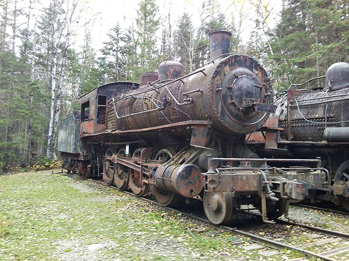 This iron giant rests in forest retirement, a rusting reminder of the logging era when steam power helped tame the northern wilderness.