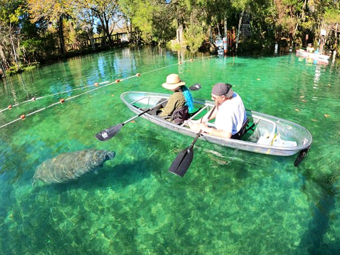 The VIP section of nature's most exclusive underwater club&mdash;membership: just add snorkel.