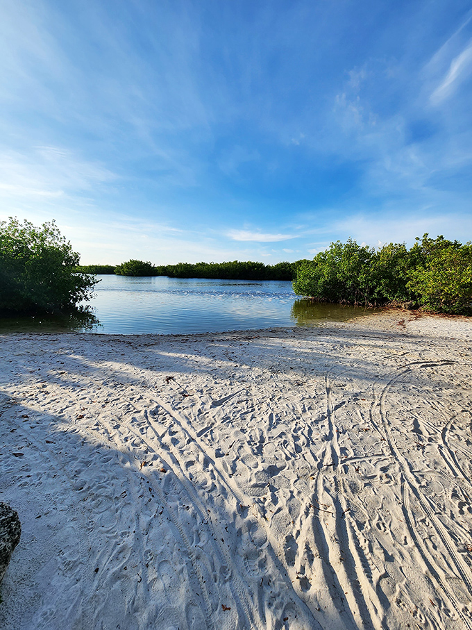 Nature's perfect beach: untouched sand meets mangrove-lined shores, creating a secluded haven for barefoot explorers and daydreamers.