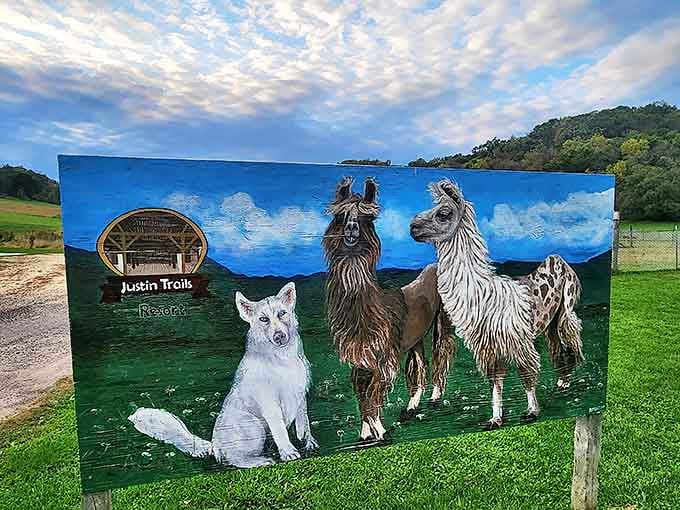 Signage: Local artwork celebrates the unique trio of llamas and guardian dog that have become beloved ambassadors for Wisconsin's distinctive outdoor adventures.