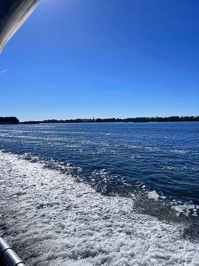 The water clarity around these sandbars lets you see exactly what you're stepping on, which is reassuring when you're used to murky lake swimming.