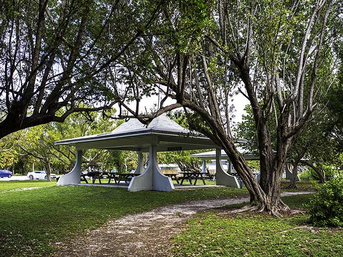 After conquering 109 stairs, this shaded retreat offers a perfect spot to recover while planning your next park adventure.