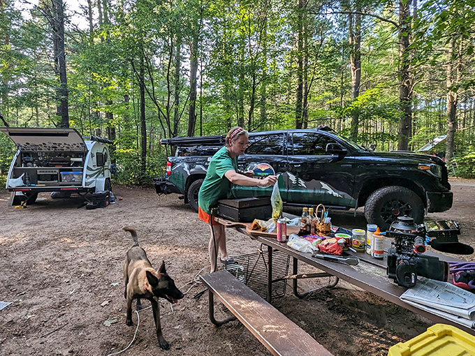 Tailgate dining goes gourmet when your backdrop is Wisconsin's pristine forest and your companion has four legs.