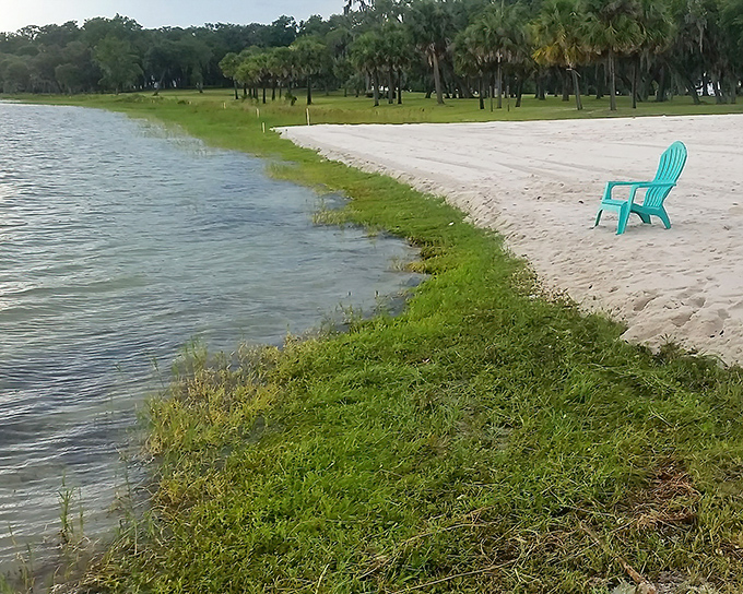 Fresh white sand meets green grass at the water's edge, creating nature's perfect transition zone for barefoot explorers.