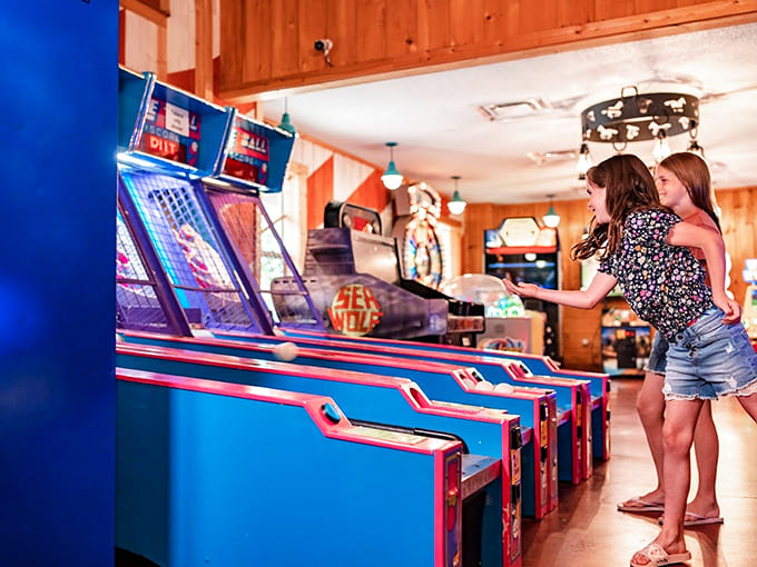 Arcade games provide that perfect rainy-day backup plan when even Michigan's most enthusiastic outdoor lovers need to come inside.
