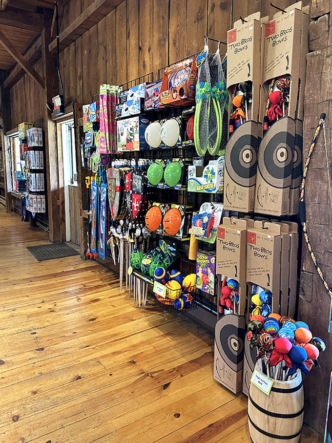 Toy Bow Shelves: Robin Hood meets retail therapy in this unexpected corner where target practice becomes family bonding time.