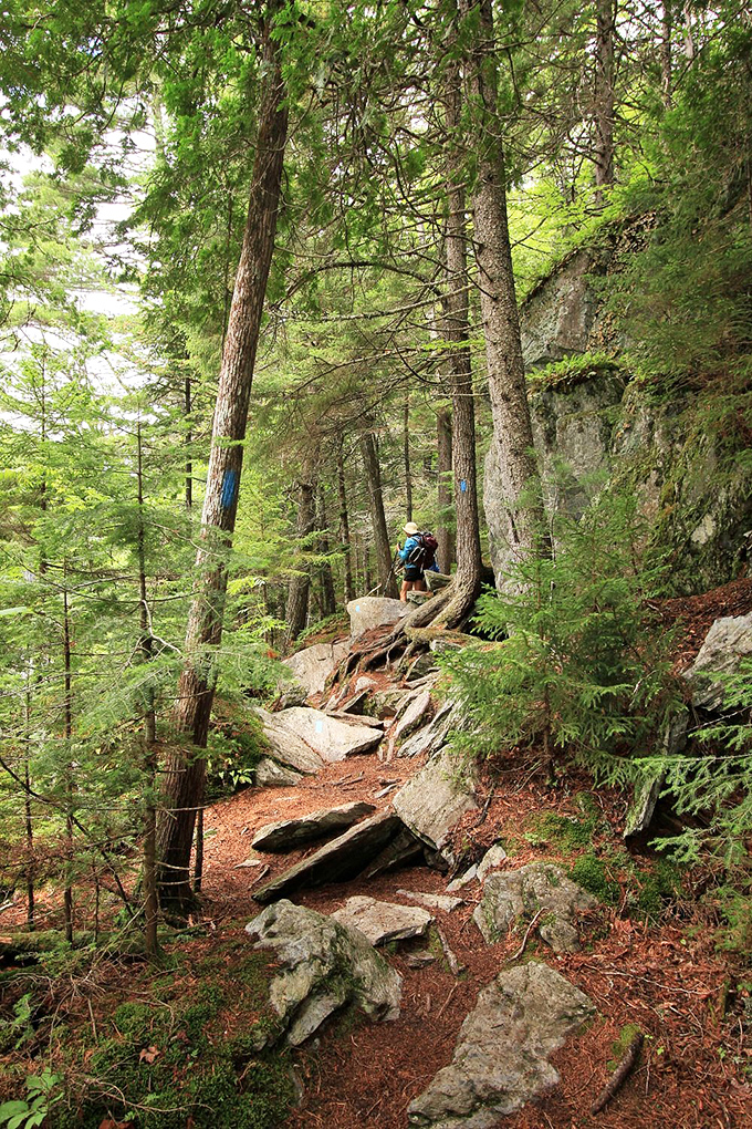 The trail winds through ancient forest, blue blazes guiding explorers along a path that feels increasingly like stepping into another world.