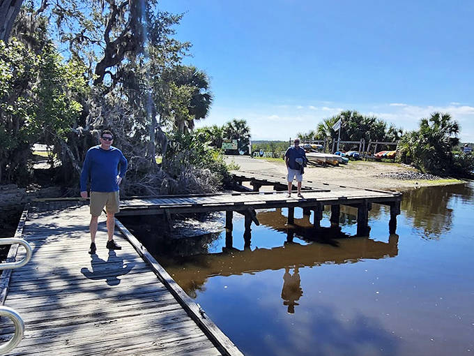 Weekend explorers traverse wooden walkways that offer intimate access to wetland ecosystems without disturbing their delicate balance.