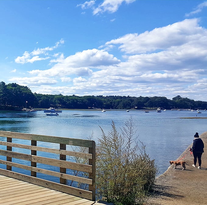 Brilliant blue skies frame the harbor view, where boats bob gently like corks in nature's own bathtub. 