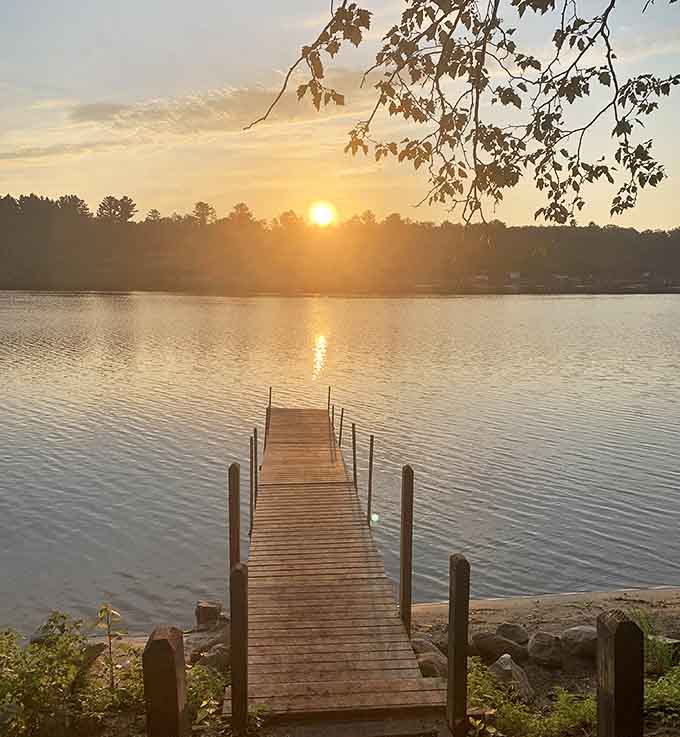 Sunrise creates liquid gold on this simple wooden dock – proof that the best morning views don't require five-star prices.