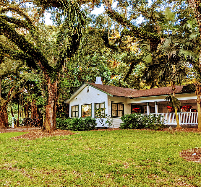 The historic Wray Home stands as a testament to old Florida charm, surrounded by ancient oaks that have witnessed decades of Sunshine State history.
