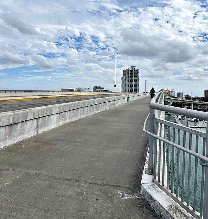 The bike path curves gently ahead, promising new vistas with each pedal stroke and breeze-tousled palm tree.