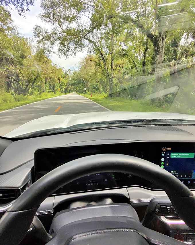 The view from behind the wheel beats any movie screen, especially when nature's doing all the cinematography work for free.