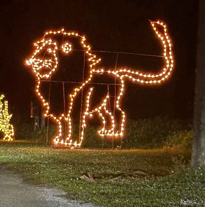 The king of the jungle gets a luminous makeover, proving that even apex predators can embrace their softer, sparklier side.