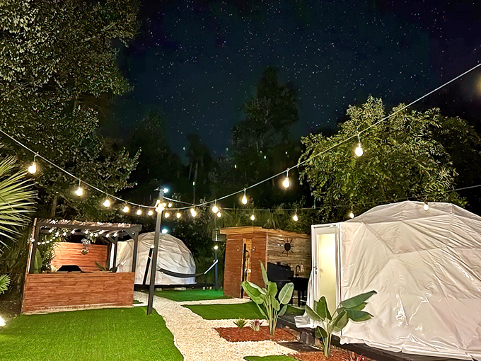 As darkness falls, the pods transform into glowing lanterns against the night sky's inky canvas.