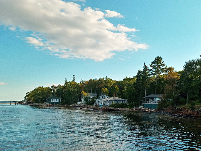 Coastal cottages nestle among pines along the shoreline, embodying the quintessential Maine dream of living between forest and sea.