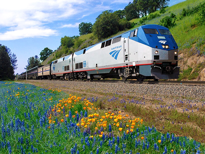 Wildflowers frame the Empire Builder as it curves through Wisconsin's countryside, nature's perfect complement to human engineering.