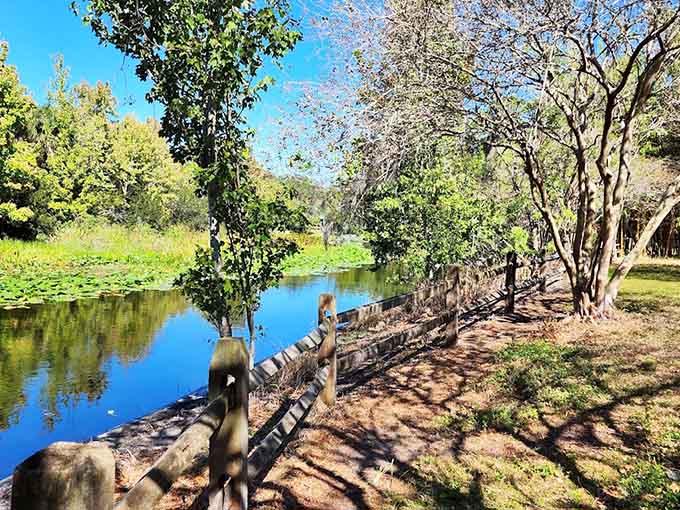 The scenic overlook offers views that remind you why people moved to Florida before someone invented the theme park, back when nature was the main attraction.