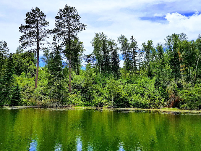 Emerald waters reflect the perfect symmetry of pines, creating mirror images that double the beauty of Itasca's pristine landscape.