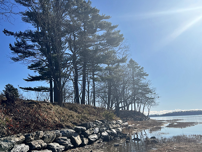 Pine trees stand tall along the shoreline, nature's guardians watching over this man-made marvel.