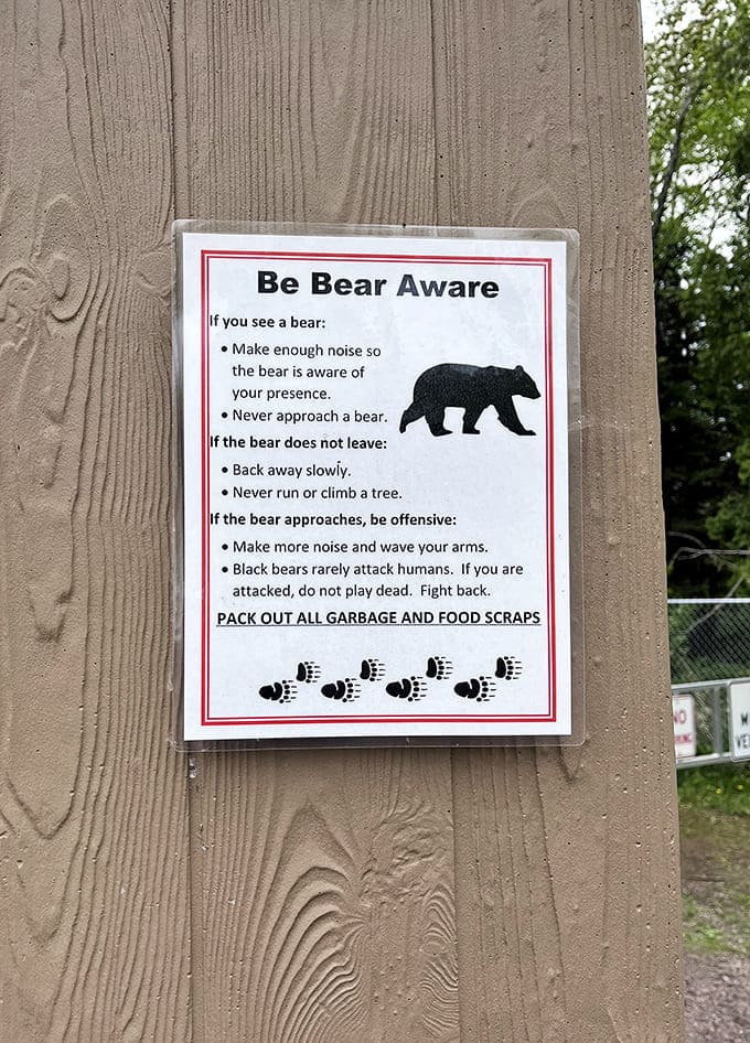 The bear warning sign adds a touch of wilderness reality to your beach day, because this is Minnesota and nature doesn't mess around.