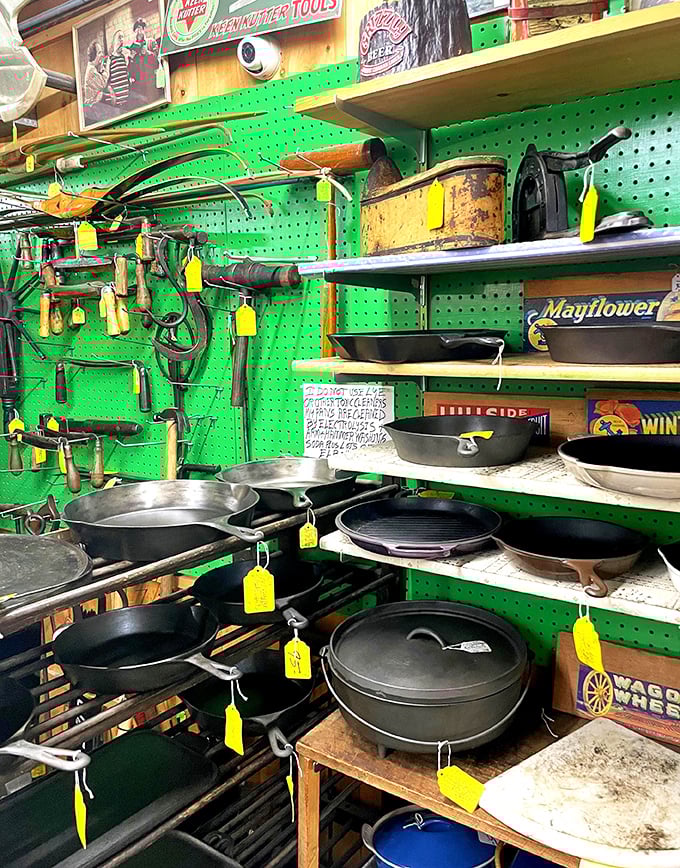 Cast iron paradise! These pans have been seasoning meals since before your grandmother was born and will outlive your smartphone.